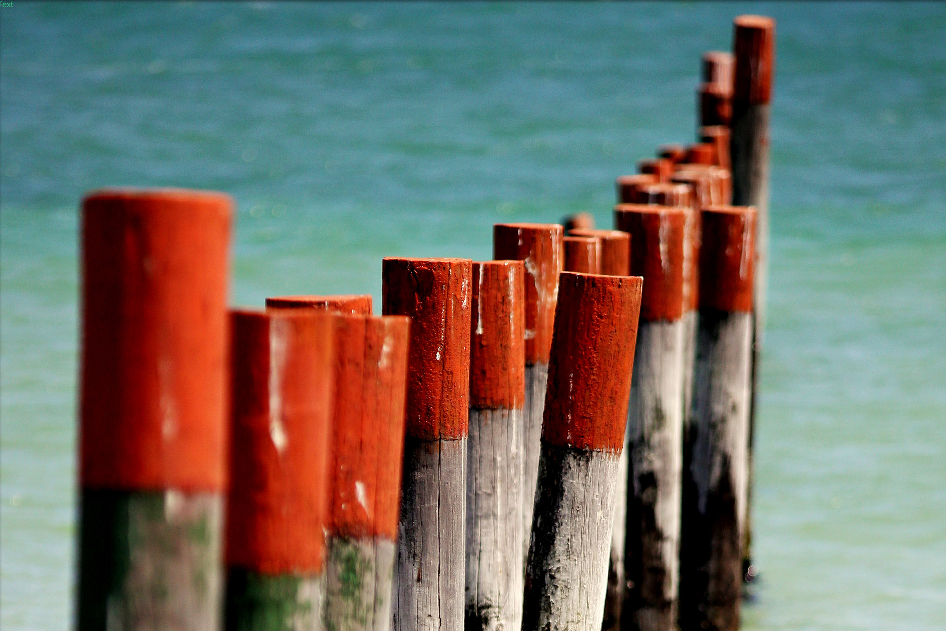 Our Values - FreeportSaldanha | Freeport Saldanha IDZ